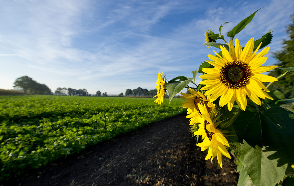 Moderne Fragen der Nachhaltigkeit | Beispiele von Zusammenarbeit ...